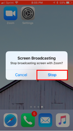 Zoom - iOS Screen Share