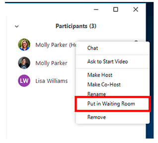 Using the Zoom Waiting Room
