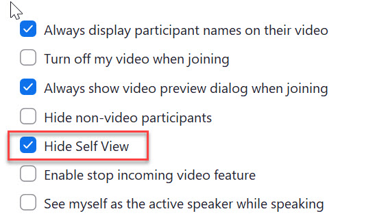 Hiding or Showing My Video in My Own Display