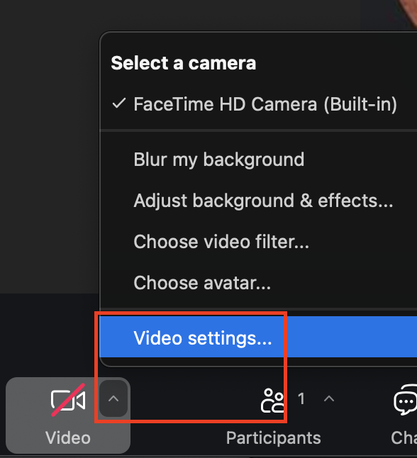 Hiding or Showing My Video in My Own Display