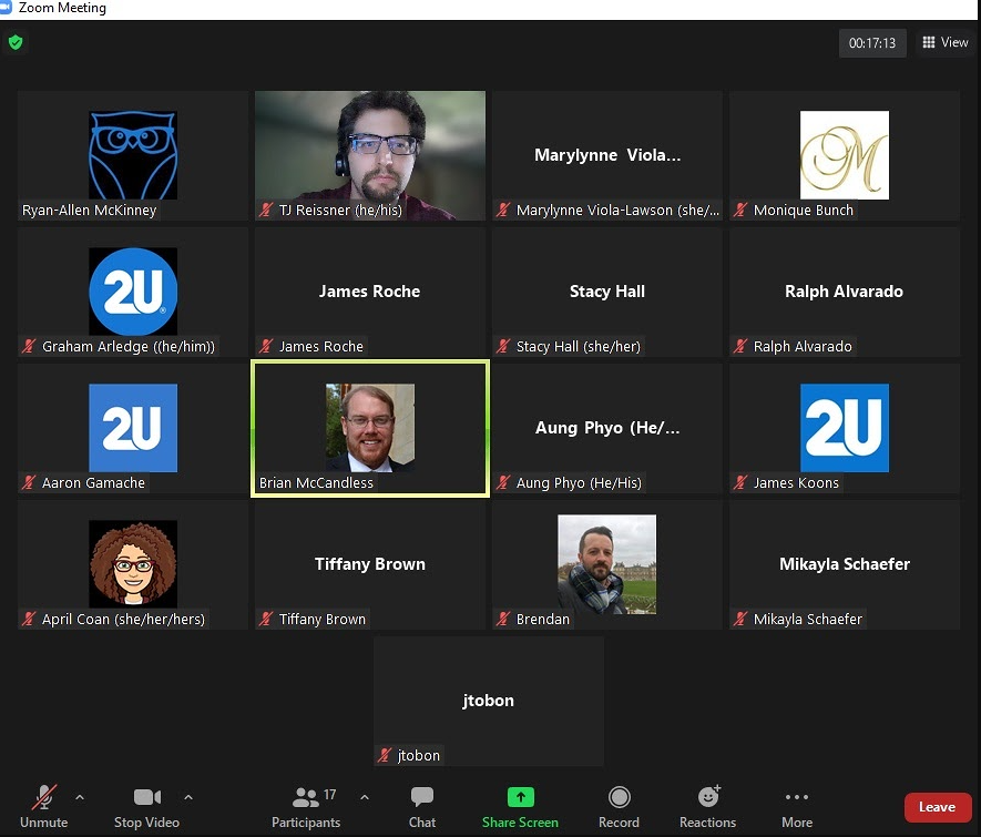 Stopping Incoming Video in Zoom