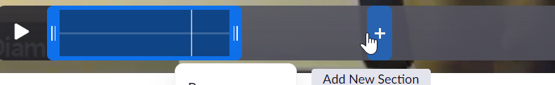 Cropping or Setting Playback Range for Zoom Recordings